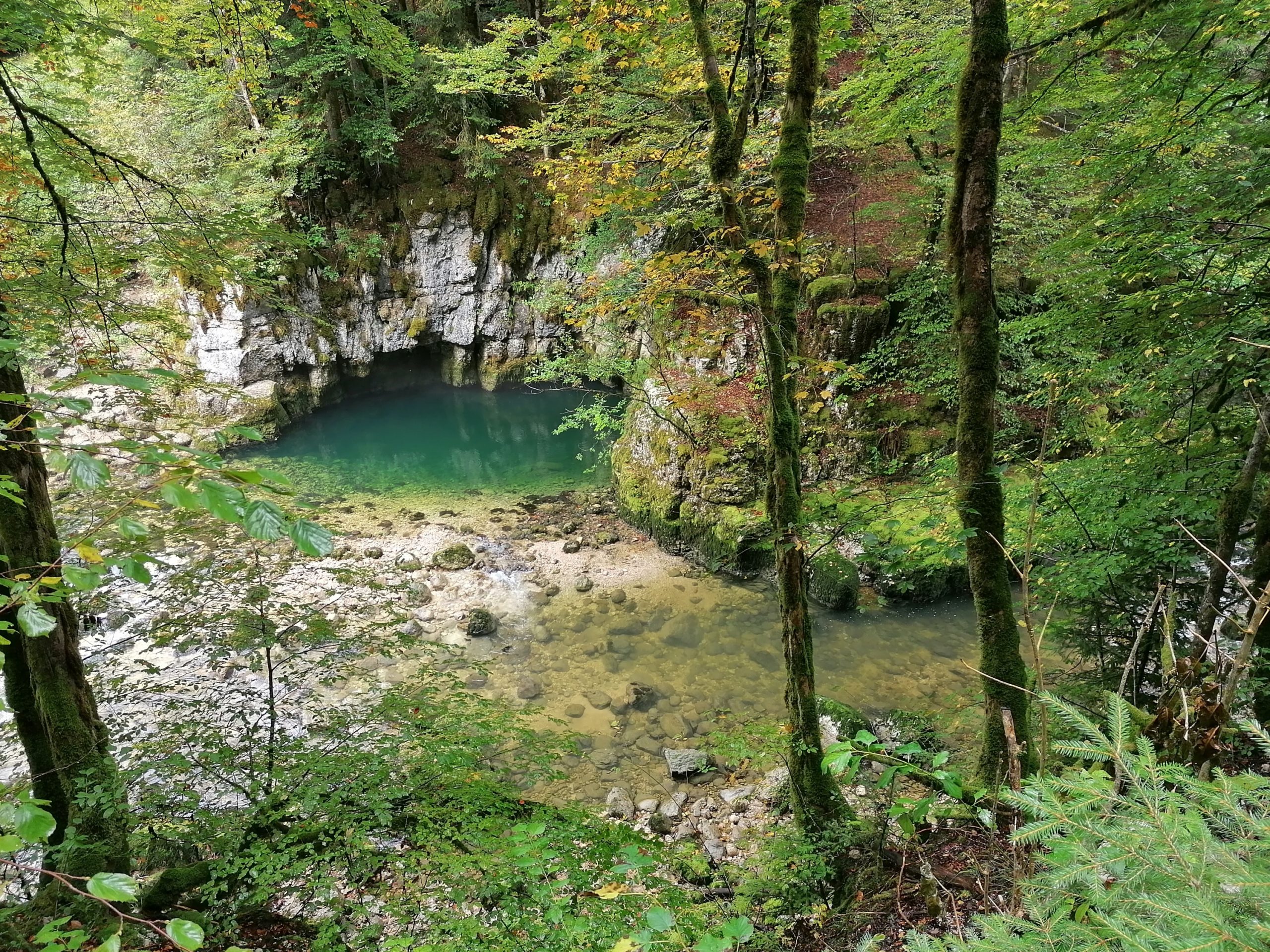 Améliorer la qualité de la Bienne : Cap rivières Saines - Parc naturel ...