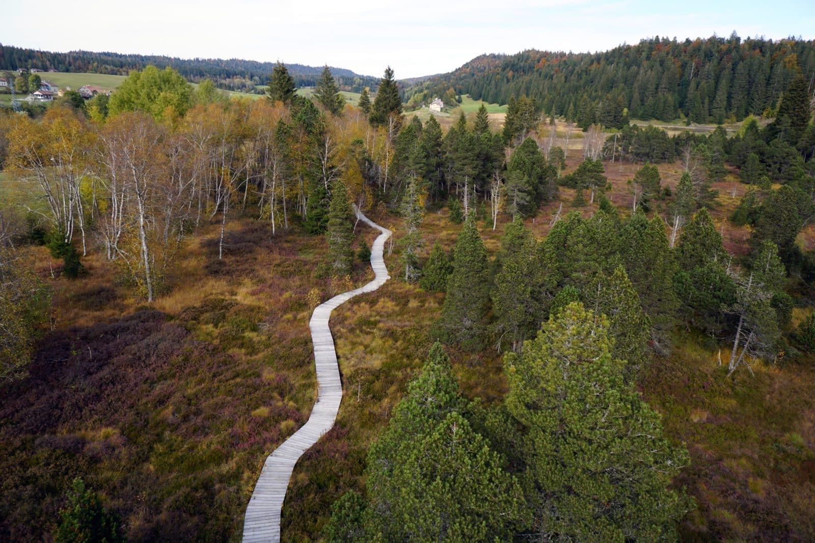 La Réserve des tourbières du Bief du Nanchez - Parc naturel régional du ...