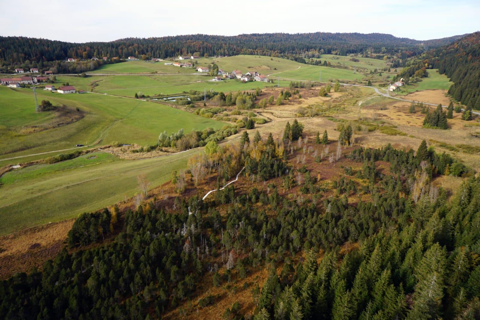 La Réserve des tourbières du Bief du Nanchez - Parc naturel régional du ...